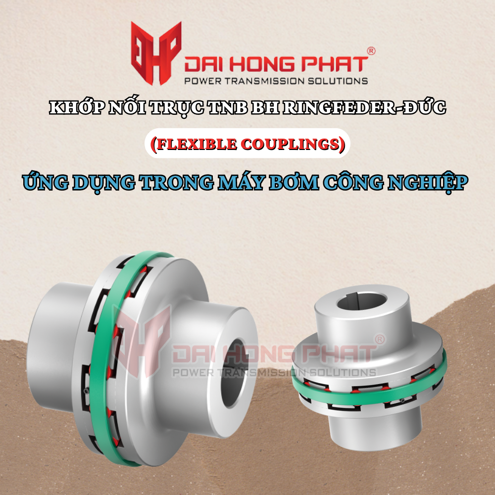 TNB BH RINGFEDER-GERMANY (FLEXIBLE COUPLINGS) APPLICATION IN INDUSTRIAL PUMPS - Dai Hong Phat Corp